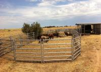 China Durable High Strength Portable 40x80mm Oval Rail Cattle Yard Gates 2.1m Width for sale
