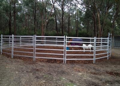 China Durable High Strength Portable 40x80mm Oval Rail Cattle Yard Gates 2.1m Width for sale