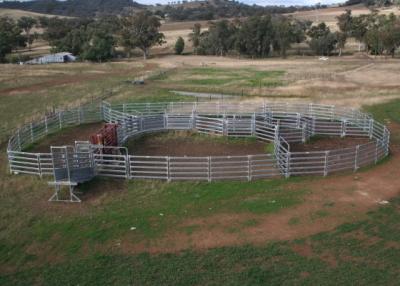 China 1.8m×2.1m Frame Frame 120g/M2 Coating Heavy Duty Cattle Panel for sale