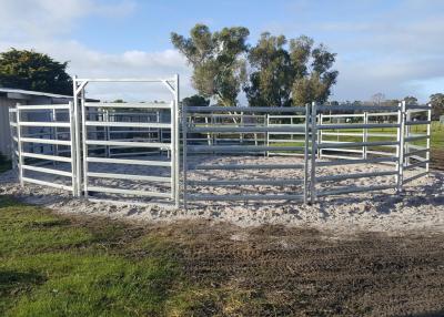 China Oval Tube Galvanized Cattle Panel Australia Standard for sale