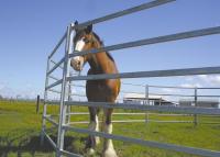 China Hdg Tube Australia 1.8m High Heavy Duty Cattle Panel With 6 Bars for sale