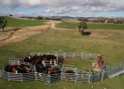 China 40x80mm Oval Tube Livestock Fence Panels Galvanized Corral Farm Equipment for sale