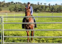 China Australia Standard 6 Rails Oval Pipe 1.8m×2.1m Steel Cattle Yard Panels for sale