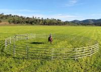 China 1.8x2.1m Oval Tube Iron Material Cattle Panel Hot Dipped Galvanized for sale