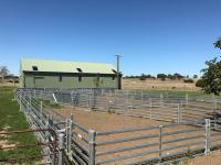 China 1.8m X 2.1m Oval Rail Tube Odm Heavy Duty Cattle Panel Galvanized for sale