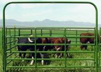 China Galvanized Powder Coating 6ft By 10ft Cattle Yard Panels Portable for sale