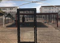 China Anti Cut Heavy Duty 358 Rigid Mesh Anti Climb Fencing For School Security for sale
