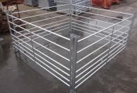 China 1.8m X 2.1m Oval Rail Tube Odm Heavy Duty Cattle Panel Galvanized for sale