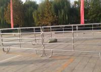 China Q235 Hot Dip Galvanized 1.8m High Heavy Duty Cattle Panel for sale