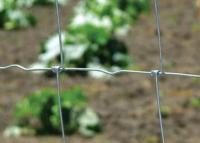 China Farm Hinge Joint 1m Height Cattle Field Fence For Sheep for sale
