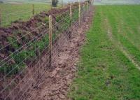 China Electric Galvanized Iron Wire Cattle Mesh Fencing For Livestock for sale