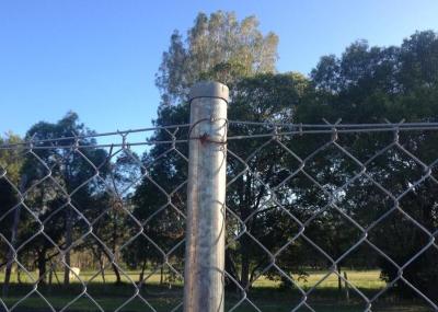 China 3.0mm Galvanized Twist Edge Metal Chain Link Fence Diamond Wire Mesh for sale