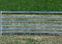 China 60 X 30 X 1.6mm Gal Oval Rail Heavy Cattle Panels Hot Dip Galvanized Steel To Sheep Yards for sale
