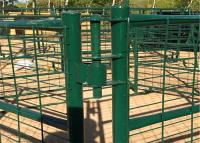 China Green Coated Lightweight Horse Corral Panels 5