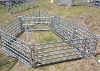 China 200 Head Sheep Yard Panels Pre Hot Dip Galvanized Strong Permanent for sale
