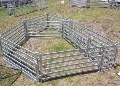 China 200 Head Sheep Yard Panels Pre Hot Dip Galvanized Strong Permanent for sale