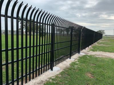 China Steel Residential Security Palisade Fence Metal Curved Portable for sale