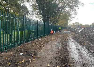 China High Security  Residential D Pale or W Pale Steel Fence Spike Palisade Fence 1.8m high for sale