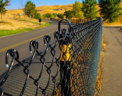 China 6x6 Steel Chain Link Fencing Galvanized Pvc Coated Farm for sale