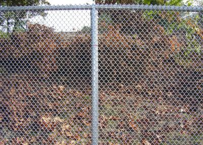 China 6ft Galvanized 11.5ga Steel Chain Link Fencing Diamond Wire Mesh for sale