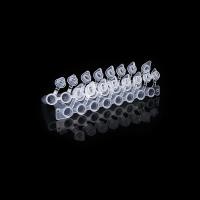 China Dome Shaped Caps 0.2ml PCR Tube 8 Strip With Attached Cap PCR Eight Connected Pipe for sale
