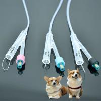China Dog Urinary Catheter Placement in Dogs Durable Solutions for Pet Care for sale