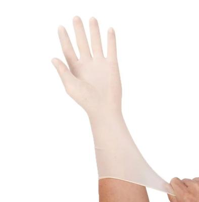 China Sterile Latex Examination Gloves for Medical Use Sizes M/L/XL for sale
