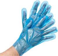 China Kitchen Home Catering Crayfish Barbecue Pe Film Gloves Thickened Disposable Plastic Gloves Durable Waterproof for sale