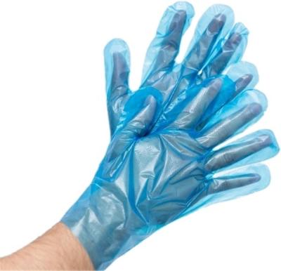 China Kitchen Home Catering Crayfish Barbecue Pe Film Gloves Thickened Disposable Plastic Gloves Durable Waterproof for sale