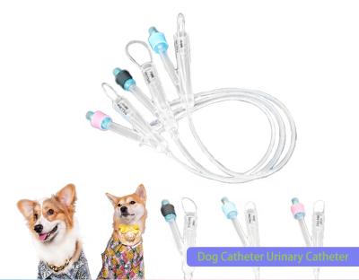 China Animals Medical Hydrophilic veterinary Silicone Coating Super-lubricity 2 Way Pure Silicon Foley catheter Urinary surgery for dogs for sale