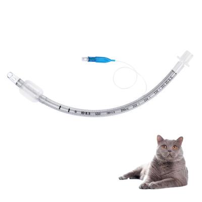 China Veterinary Reinforced Endotracheal Tube Medical Grade PVC with Olive-Shaped Balloon Transparent Anesthesia Catheter for Animal Hospitals for sale