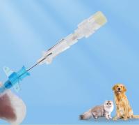 China Small Winged IV Cannula with Heparin Lock | Flexible, Safe, and Designed for Small Animal IV Use for sale
