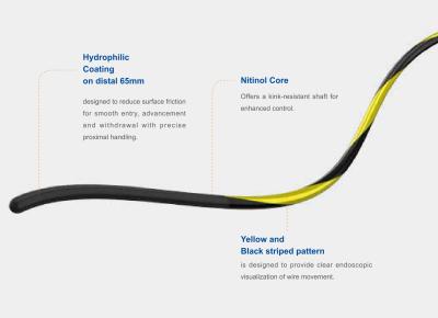 China Zebra Nitinol Core Guidewire – Precision, Flexibility, and Durability for Advanced Interventional Procedures for sale