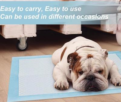 China 60×90 Cm Super Absorbent Quick-Drying Leak-Proof Disposable Pet Pads for Dogs and Cats for sale