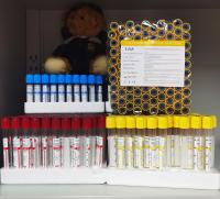 China EDTA Blood Sample Collection Tube With Clot Activator / Sodium Citrate / Heparin / Fluoride 2-10ml for sale