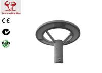 China 60W  Urban Light Garden Light IP65 Bridgelux Chip MW driver Die casting Aluminium for sale