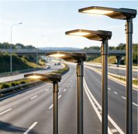 China 130lm/W 6500K Outdoor Led Street Lights 30W 50W 80W 100W 120W 150W 200W 250W IP66 IK09 5 years warranty zaga for sale