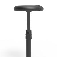 China LED Post Top Light, IP65 Waterproof Outdoor Area Lighting for Yard Street Garden for sale