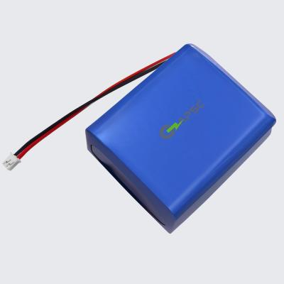 China 11.1V 5000mAh smart speaker polymer lithium battery pack for sale