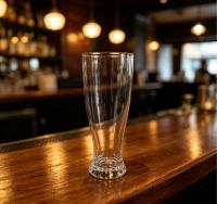 China 650ml PS Plastic Tall Pilsner Beer Glass Unbreakable with Custom Logo Perfect for Events & Promotions for sale