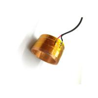 China Hot Spiral Wound Air Core Inductor Coil 250TS For Toy Motor for sale