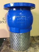 China Water Oil Liquid FOOT VALVE with ANSI Flanged End for sale
