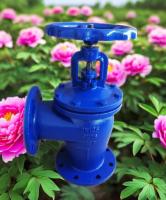 China ANSI angle valve for sale