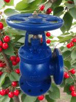 China ANSI angle valve for sale