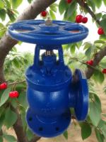 China ANSI angle valve for sale