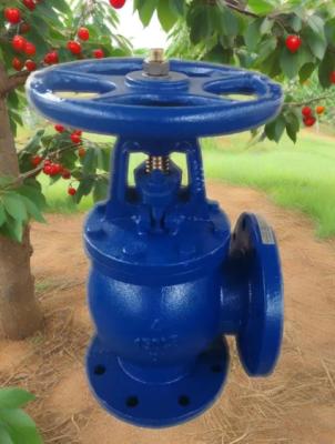 China ANSI angle valve for sale