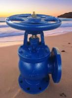 China ANSI angle valve for sale