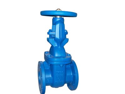 China (bs) Cast Iron Metal Gate Valve O&Y flanged ends for sale