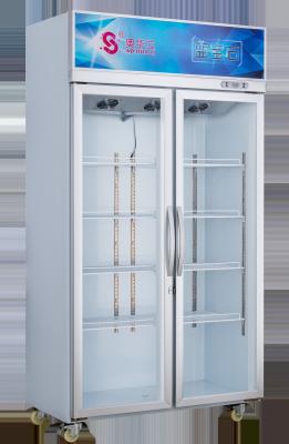 China SC-918LP2 Commercial Display Refrigerator - 884L Capacity, 1240×680×2040mm, Low Noise Double Glass Door for sale