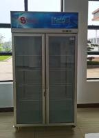 China SC-918LP 884L Commercial Display Refrigerator with Double Glass Doors - 1240x680x2040mm Dimensions for sale